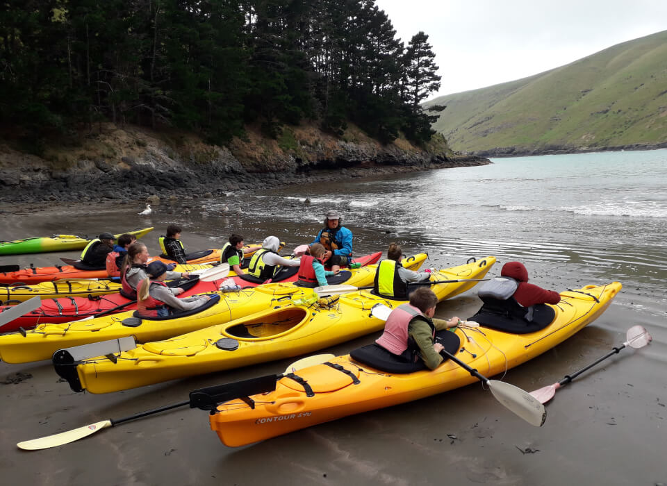 Pohatu Penguins, Nature, Sea Kayak & Penguin Tours in Akaroa